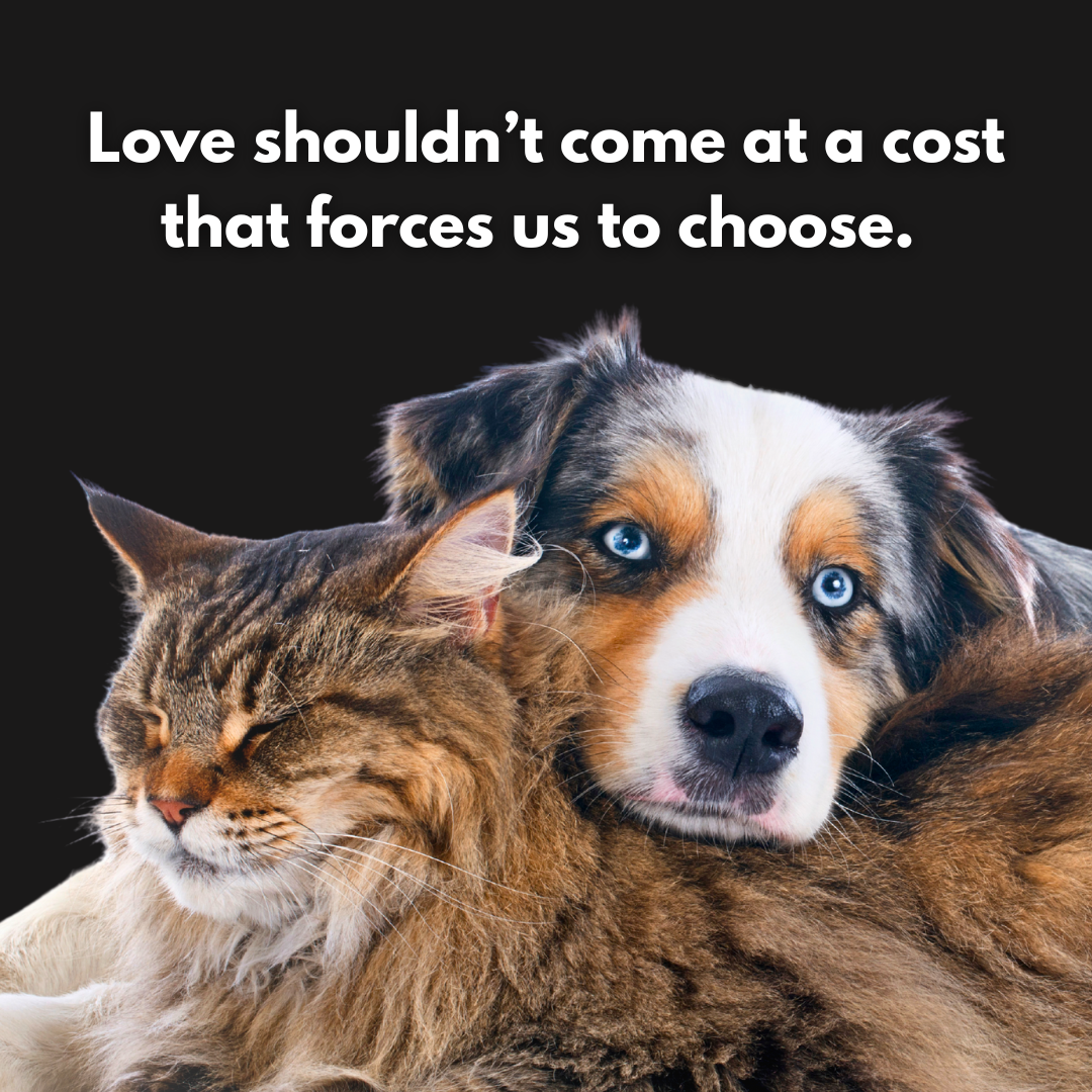 2021 Canadian Animal Shelter Statistics Report