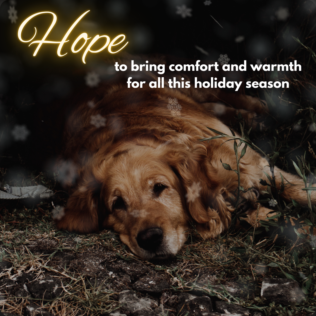 Pet Inclusive Housing - Humane Canada