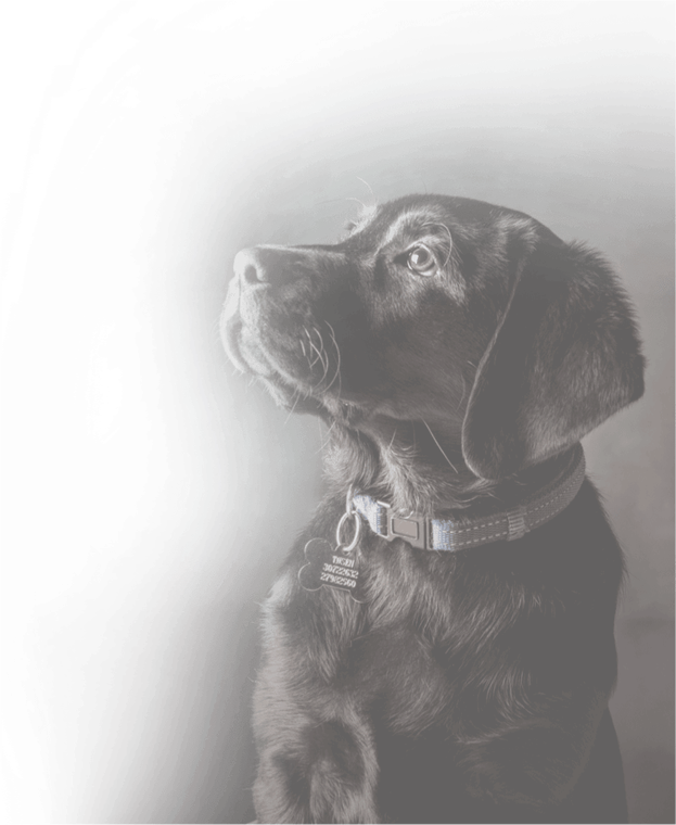 Home [humanecanada.ca]