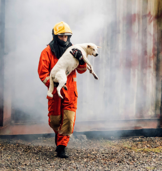 Humane Canada's Summit for Animals