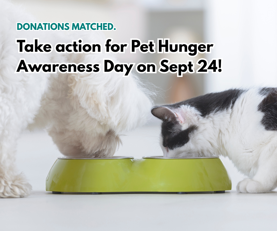 2021 Canadian Animal Shelter Statistics Report